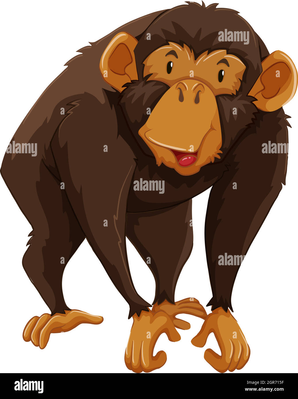 Close up monkey Stock Vector Images - Alamy