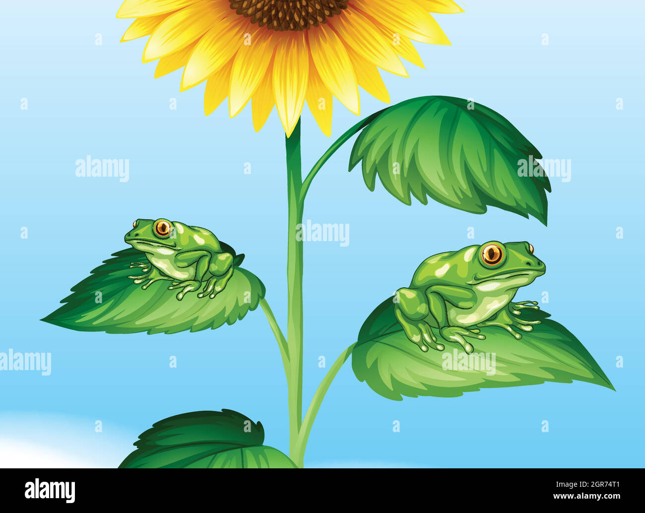Two green frogs on sunflower tree Stock Vector Image & Art - Alamy