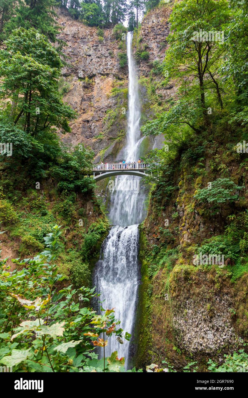 Multnomah Falls in the Columbia River Gorge Stock Photo - Alamy