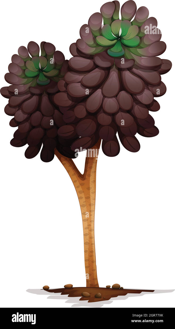 Maroon plant Stock Vector Images - Alamy