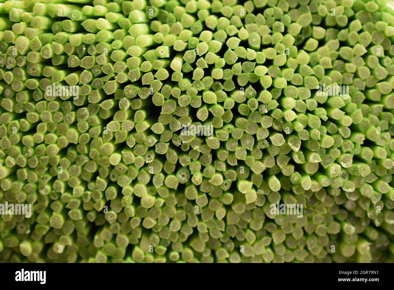 Backgrounds everywhere hi-res stock photography and images - Alamy