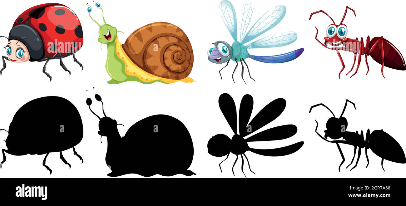 Set of insect character Stock Vector Image & Art - Alamy