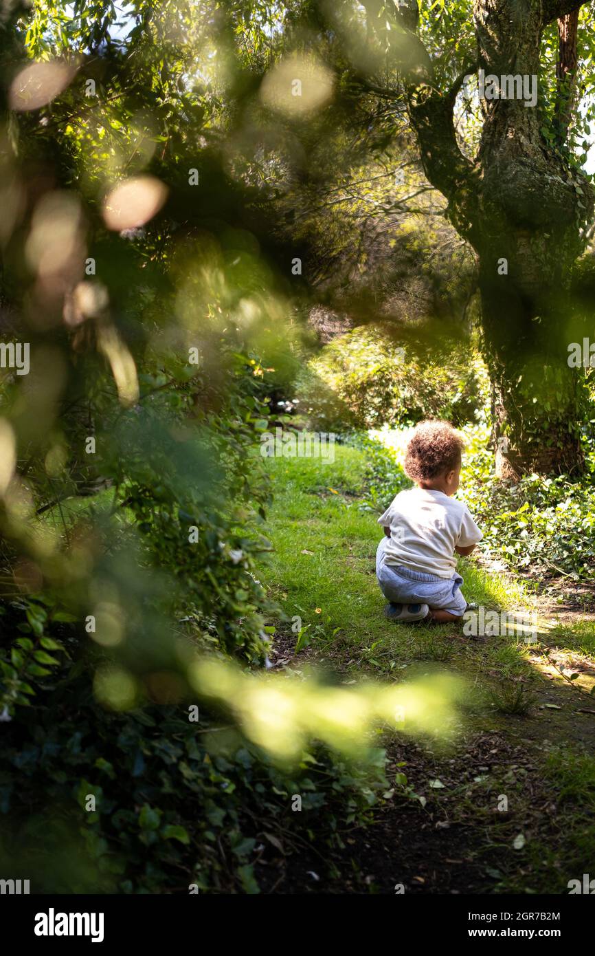 Boy touching tree in forest hi-res stock photography and images - Alamy