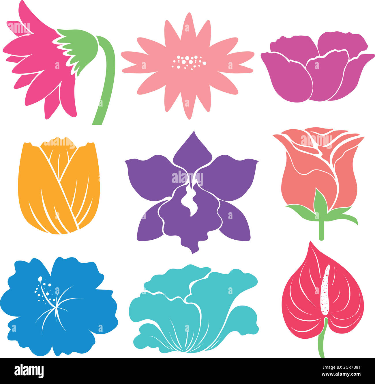 Many beautiful yellow flowers Stock Vector Images - Alamy