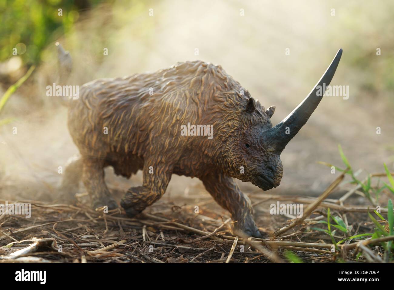 Elasmotherium High Resolution Stock Photography and Images - Alamy