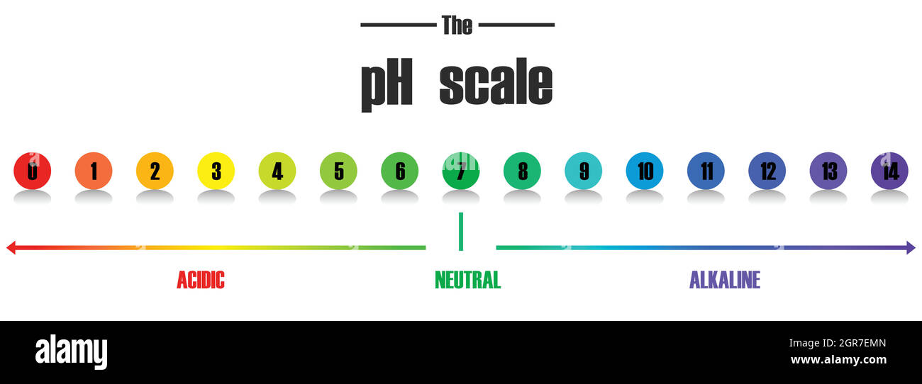 Science pH scale template Stock Vector Image & Art - Alamy