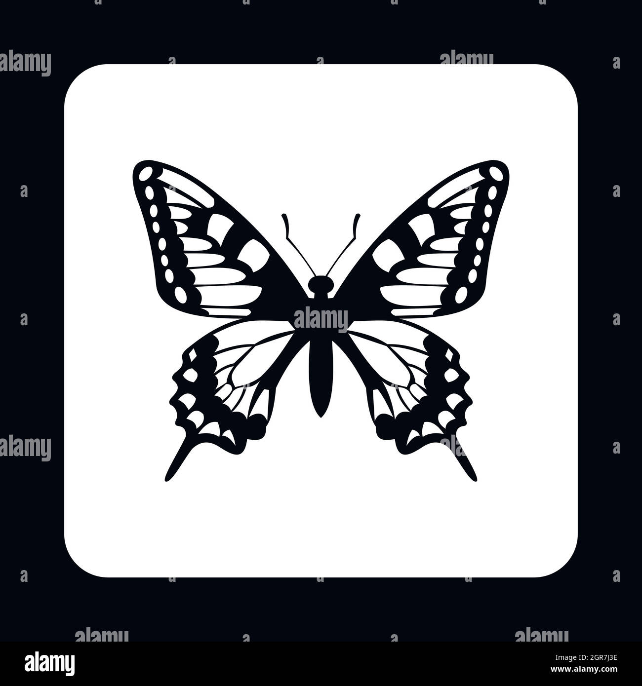 Beautiful design on wings hi-res stock photography and images - Alamy