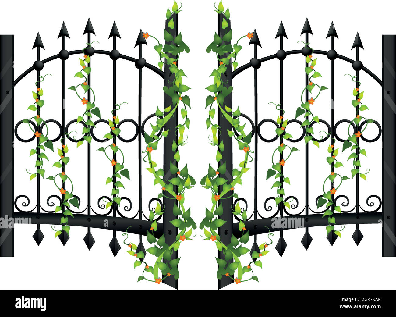 Fence design with vine and flower Stock Vector Image & Art - Alamy