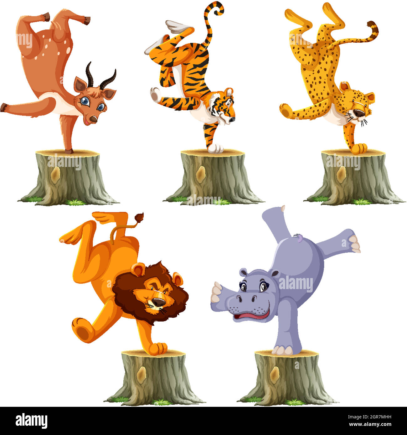Set standing animals vector Stock Vector Images - Alamy