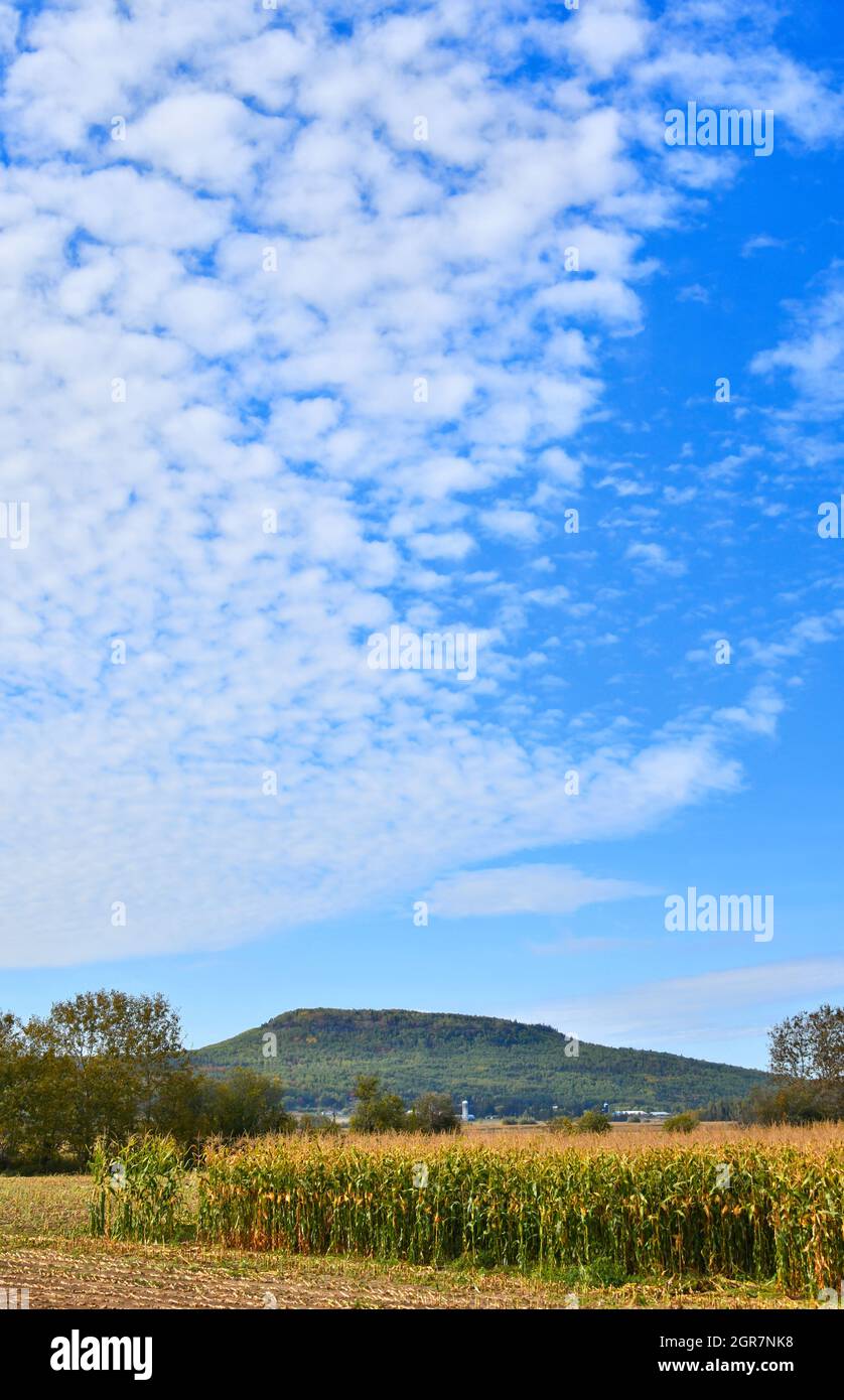 A large, interesting sky with a cornfield and low mountain in the ...