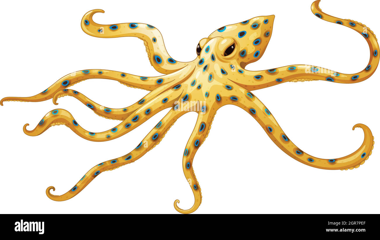 Blue ringed octopus underwater Stock Vector Images - Alamy