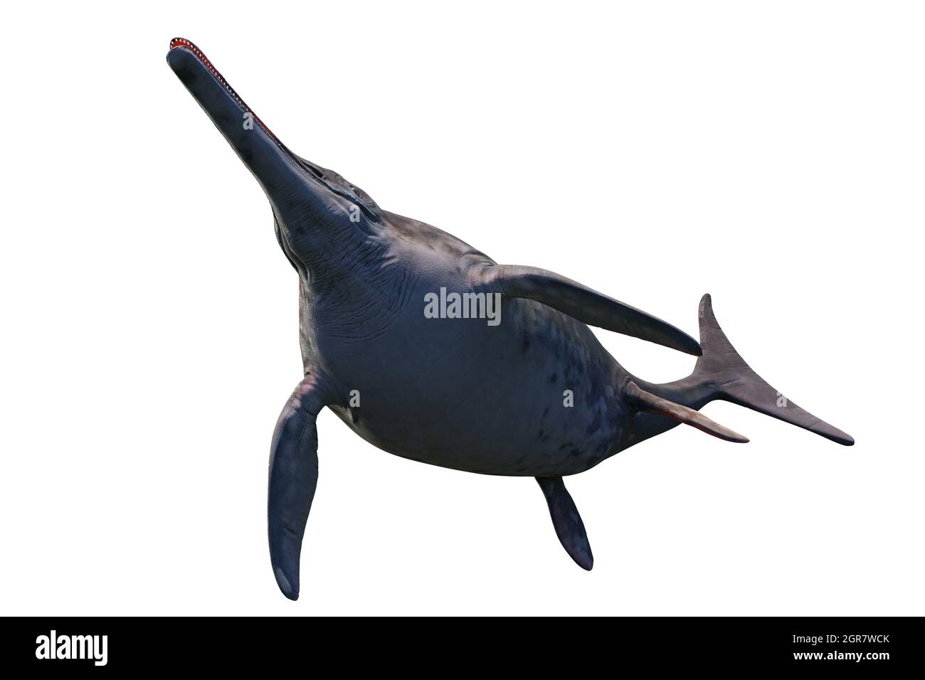 Ichthyosaur, extinct marine reptile from Early Triassic to Late ...