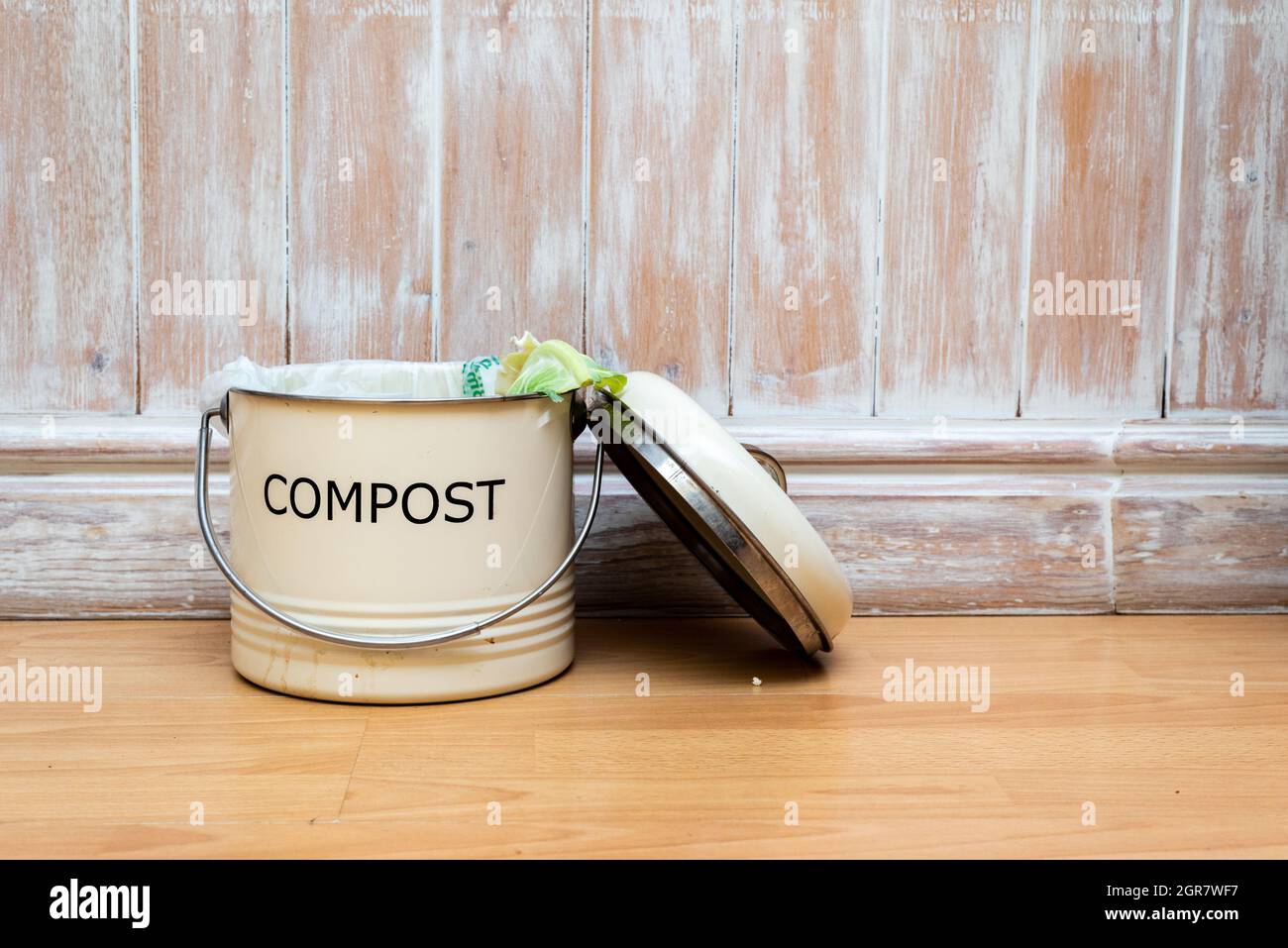Food waste from domestic kitchen for eco friendly disposal and ...