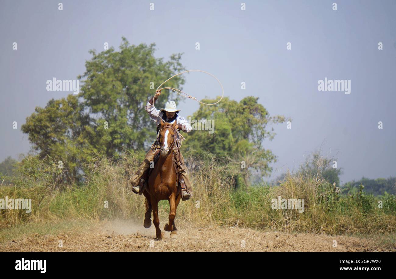Cowboy drawing his gun High Resolution Stock Photography and Images - Alamy
