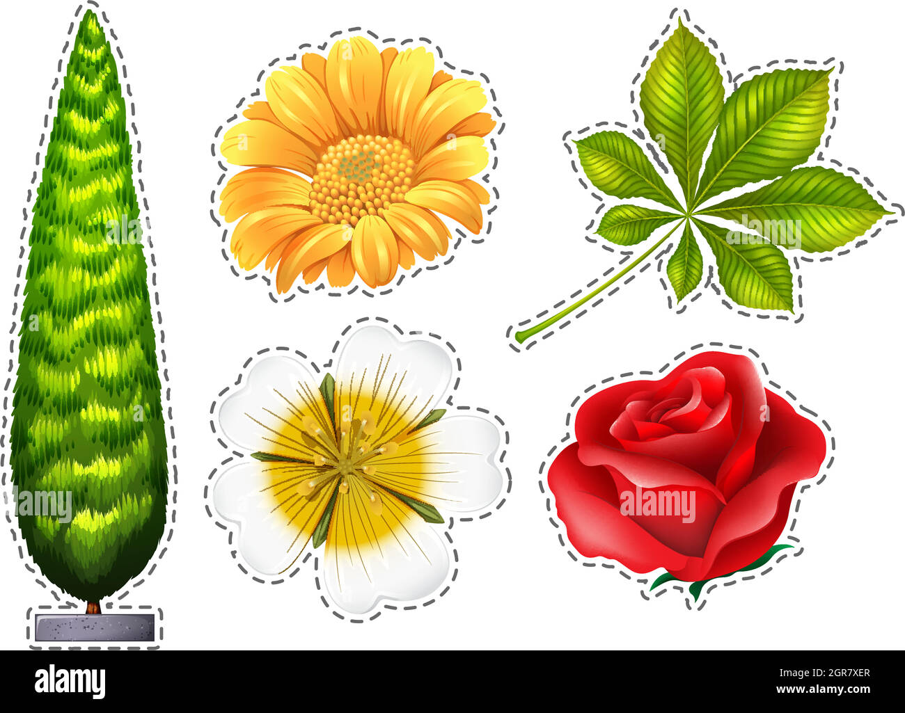 Different types of flower Stock Vector Image & Art - Alamy