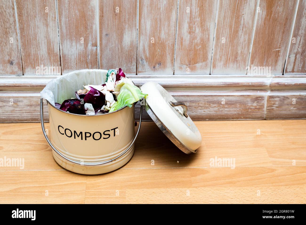 Food waste from domestic kitchen for eco friendly disposal and ...