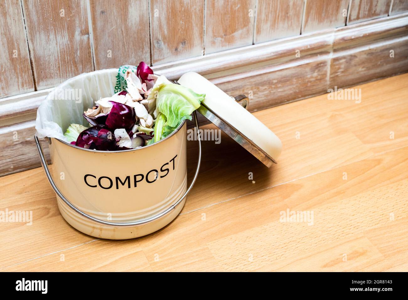 Food waste from domestic kitchen for eco friendly disposal and ...