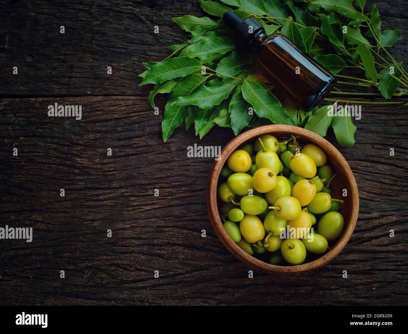 Yellow neem leaf on green hi-res stock photography and images - Alamy