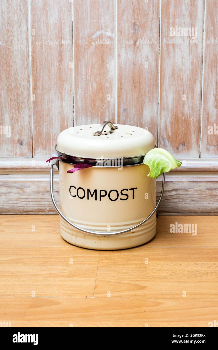 Food waste from domestic kitchen for eco friendly disposal and ...