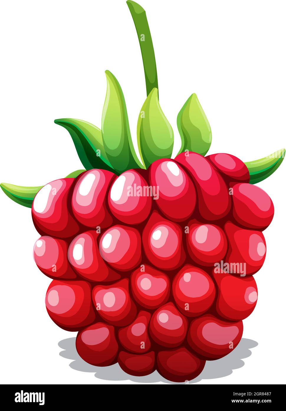 Rasberry fruit Cut Out Stock Images & Pictures - Alamy