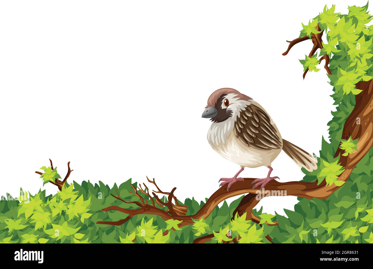 Brown on leaves Stock Vector Images - Alamy