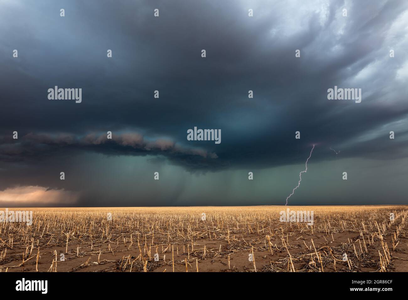 Colby farm hi-res stock photography and images - Alamy