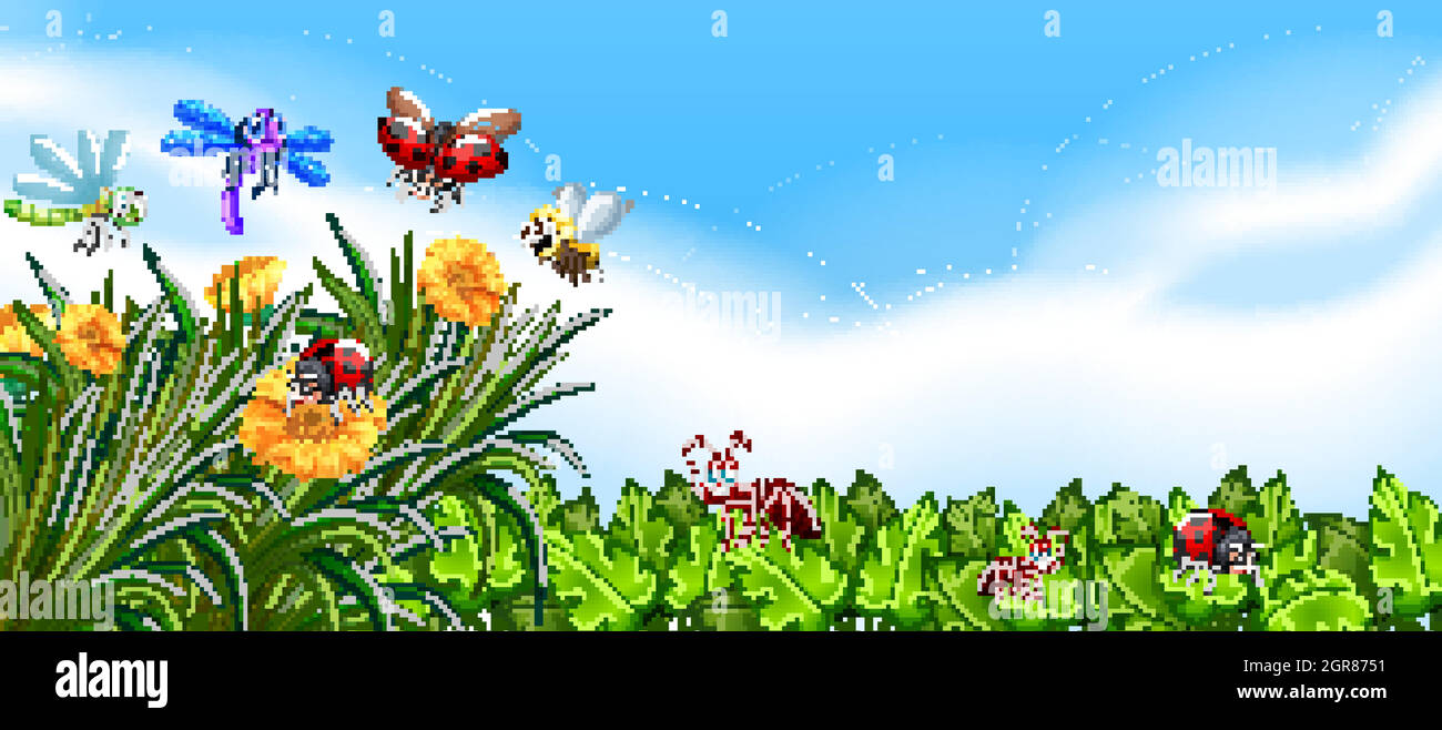 Animals with many legs Stock Vector Images - Alamy