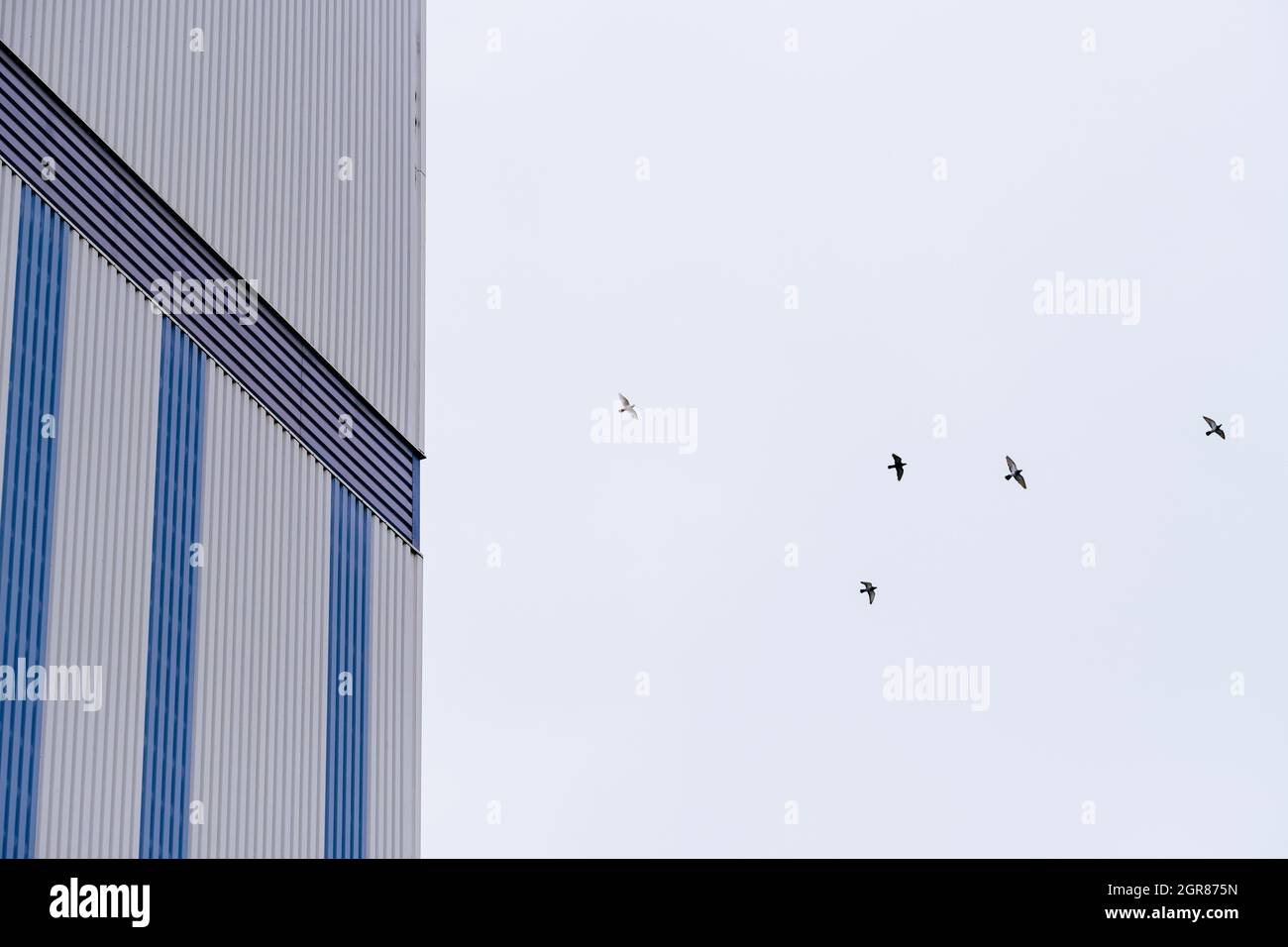 Striped building hi-res stock photography and images - Alamy