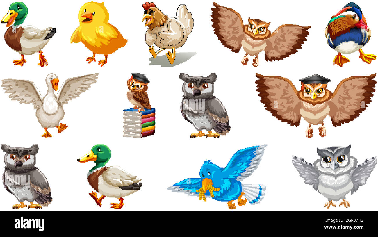 Set of different birds cartoon style isolated on white background Stock ...