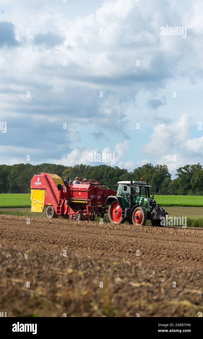 Oldendorf ii hi-res stock photography and images - Alamy