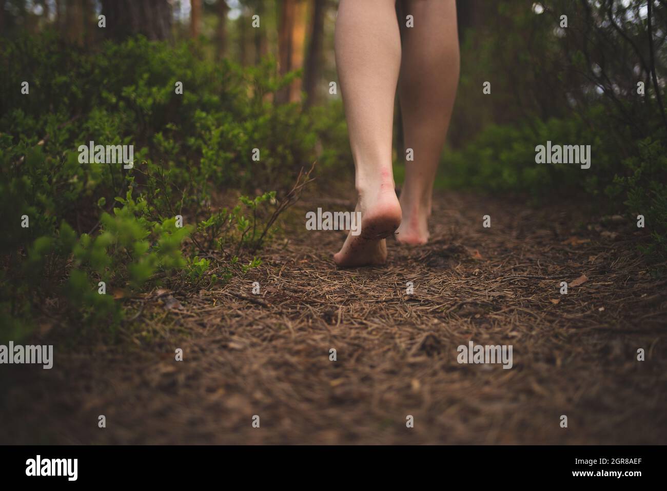Barefoot Walking Forest High Resolution Stock Photography and Images ...
