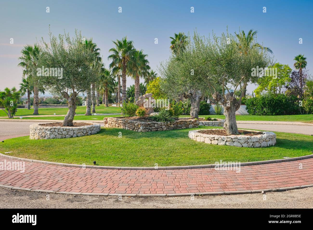 olive trees and tall palm trees Stock Photo - Alamy