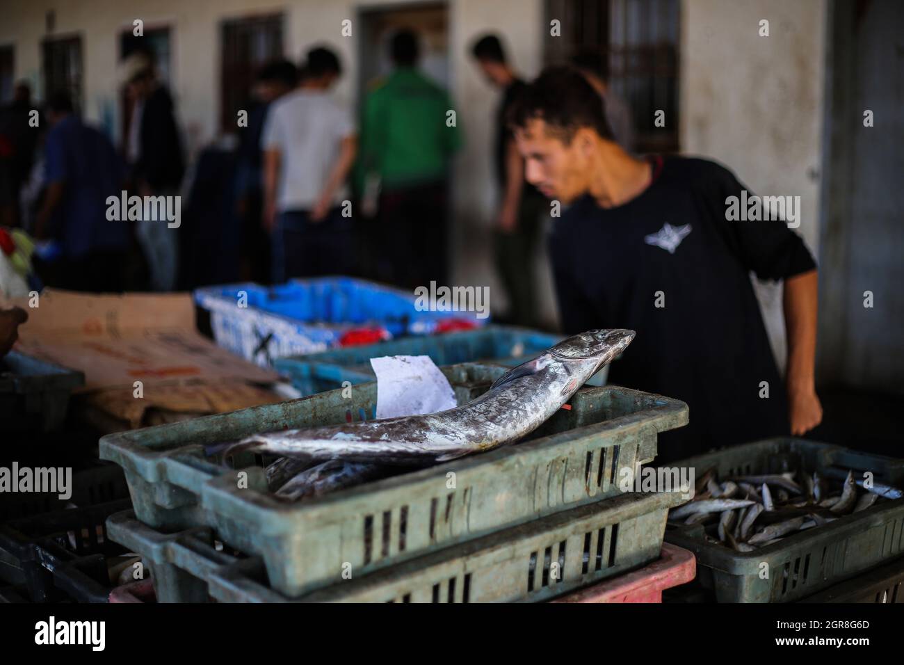 Gaza, Palestine. 30th Sep, 2021. Palestinian seen looking at the fish ...
