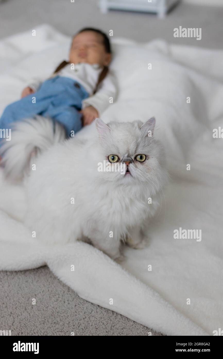 Cat And Baby Stock Photo - Alamy