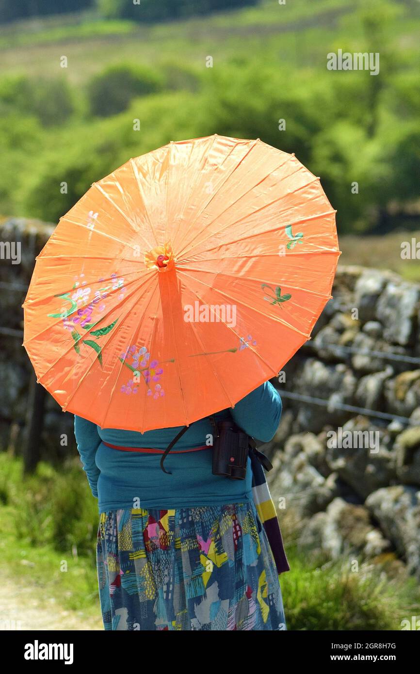 Cool shield hi-res stock photography and images - Alamy