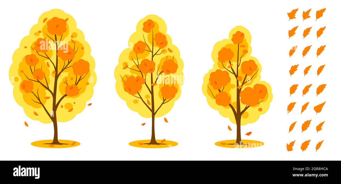 Autumn. Tree and leaves set Stock Vector Image & Art - Alamy