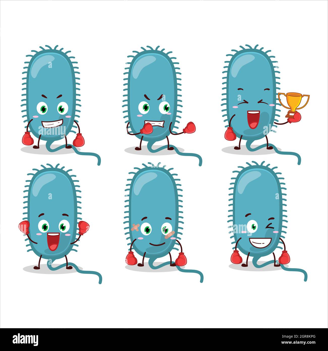 Microbiology shigella agar hi-res stock photography and images - Alamy