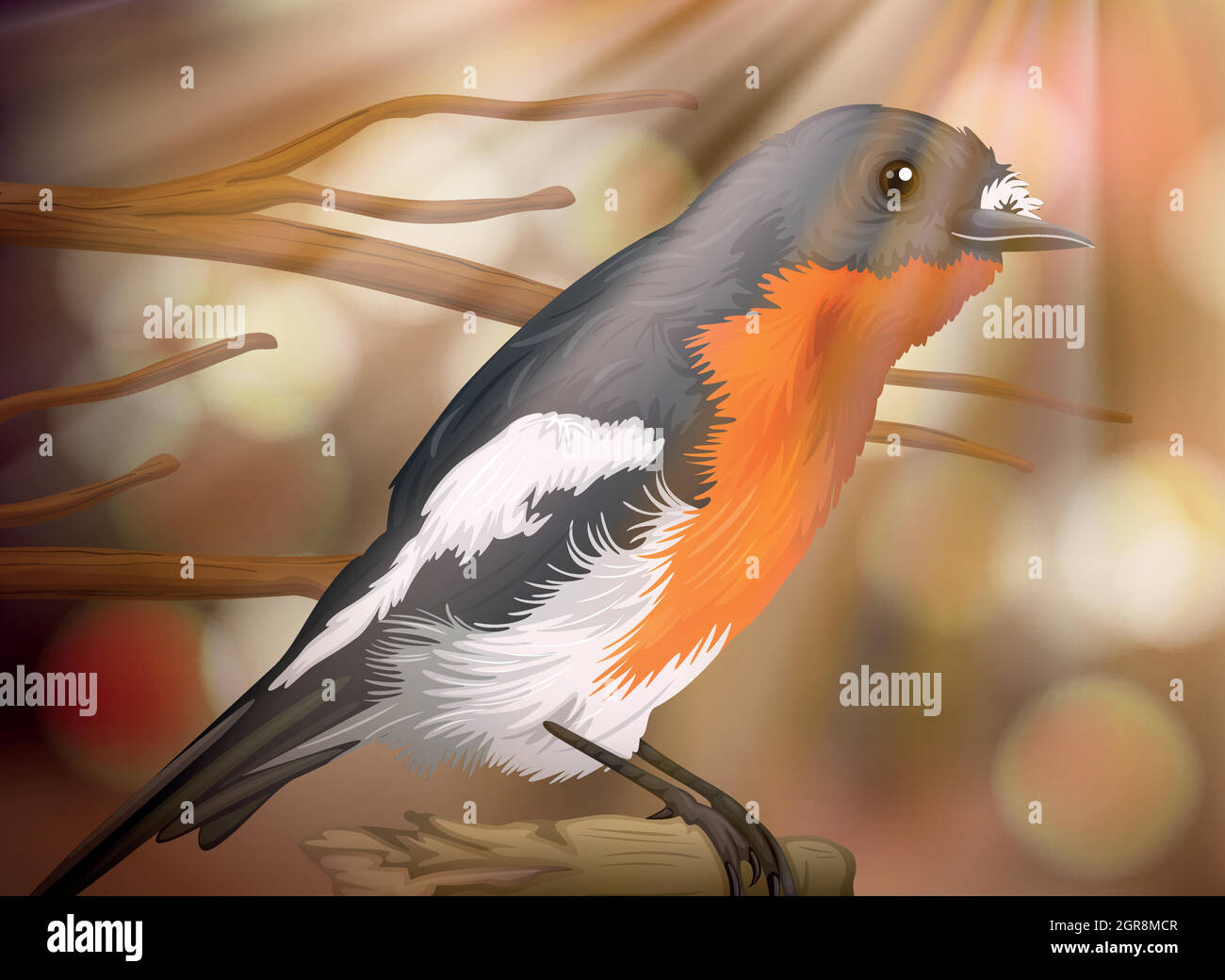 Bird of forest Stock Vector Images - Alamy