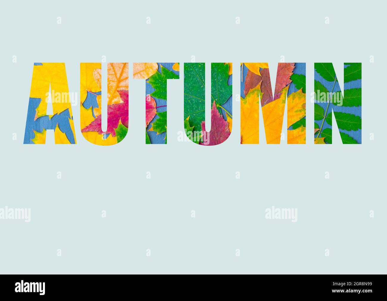The word AUTUMN composed of bright, colorful autumn leaves of different ...