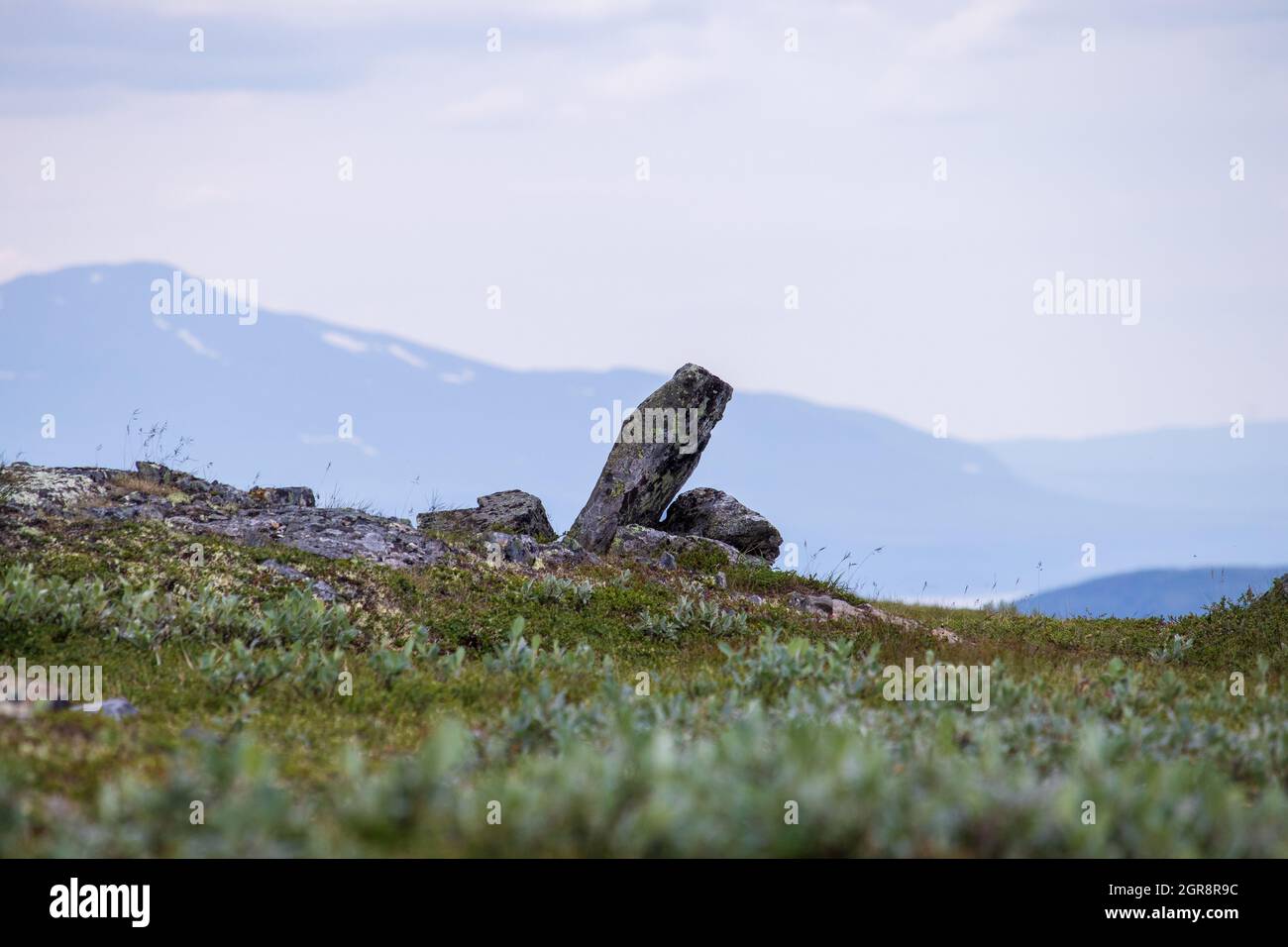Phallic shaped hi-res stock photography and images - Alamy