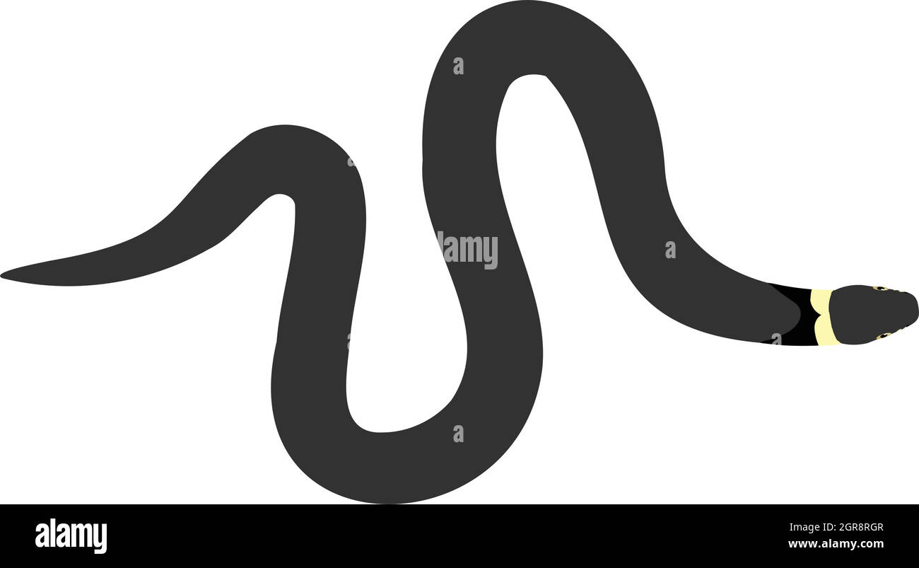 Natrix natrix - Grass snake - Dorsal view - Flat vector isolated Stock ...