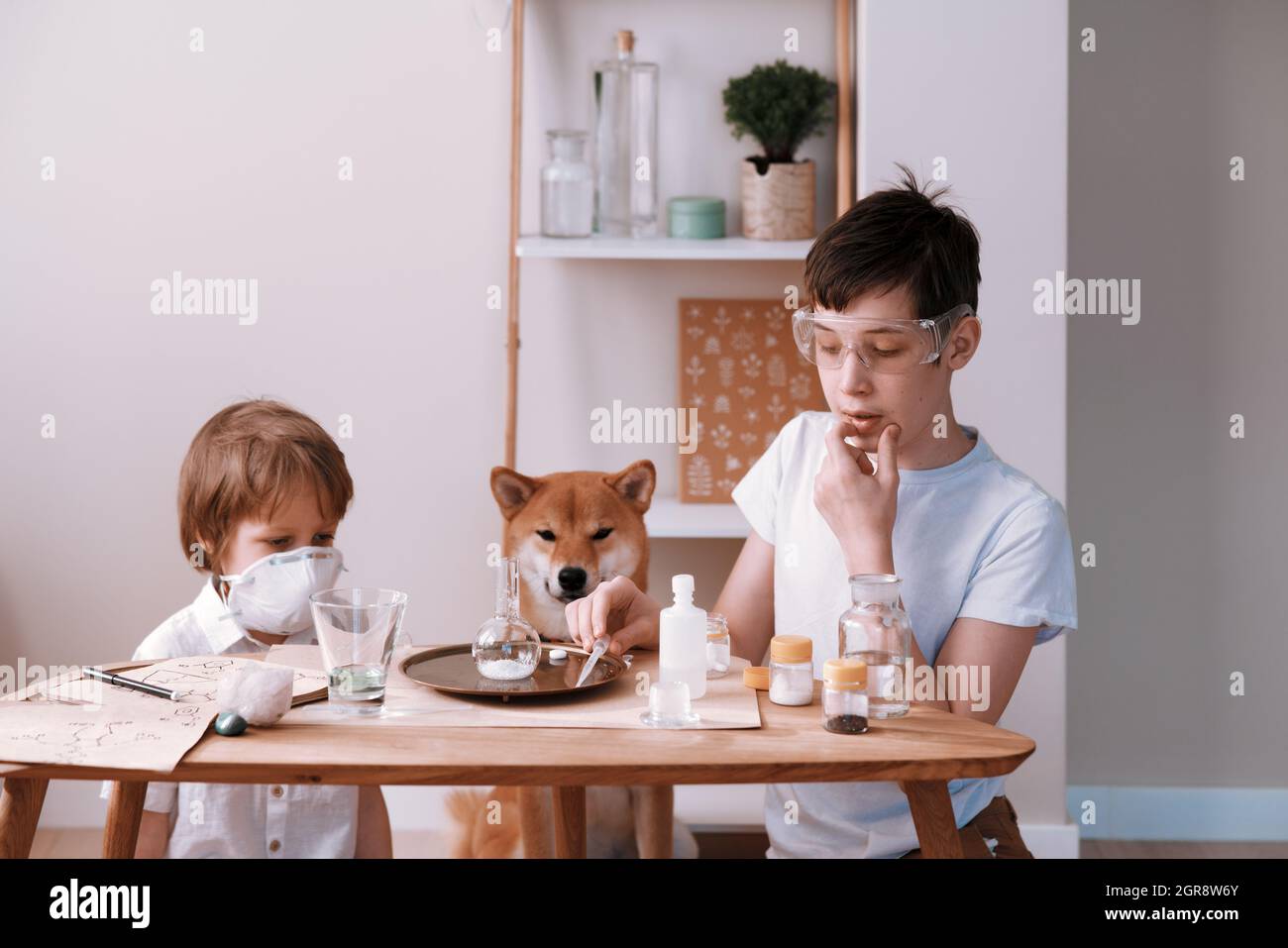 Science laboratory dog hi-res stock photography and images - Alamy