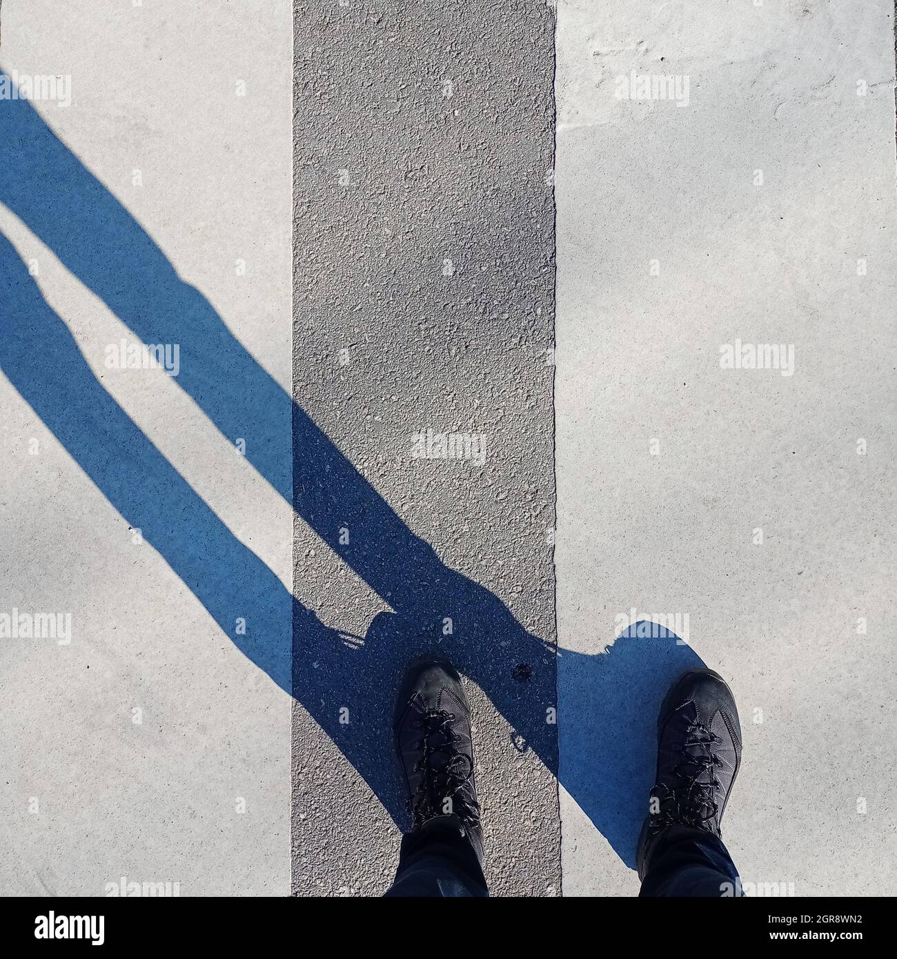 Zebra cross hi-res stock photography and images - Alamy