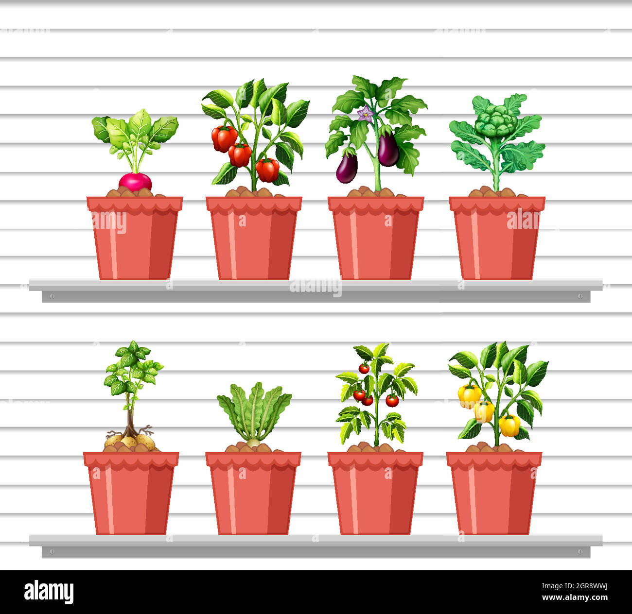 Set green vegetables in Stock Vector Images - Alamy