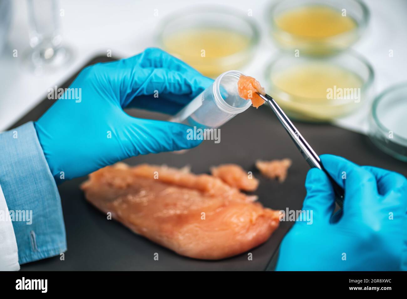 Chicken inspector hi-res stock photography and images - Alamy