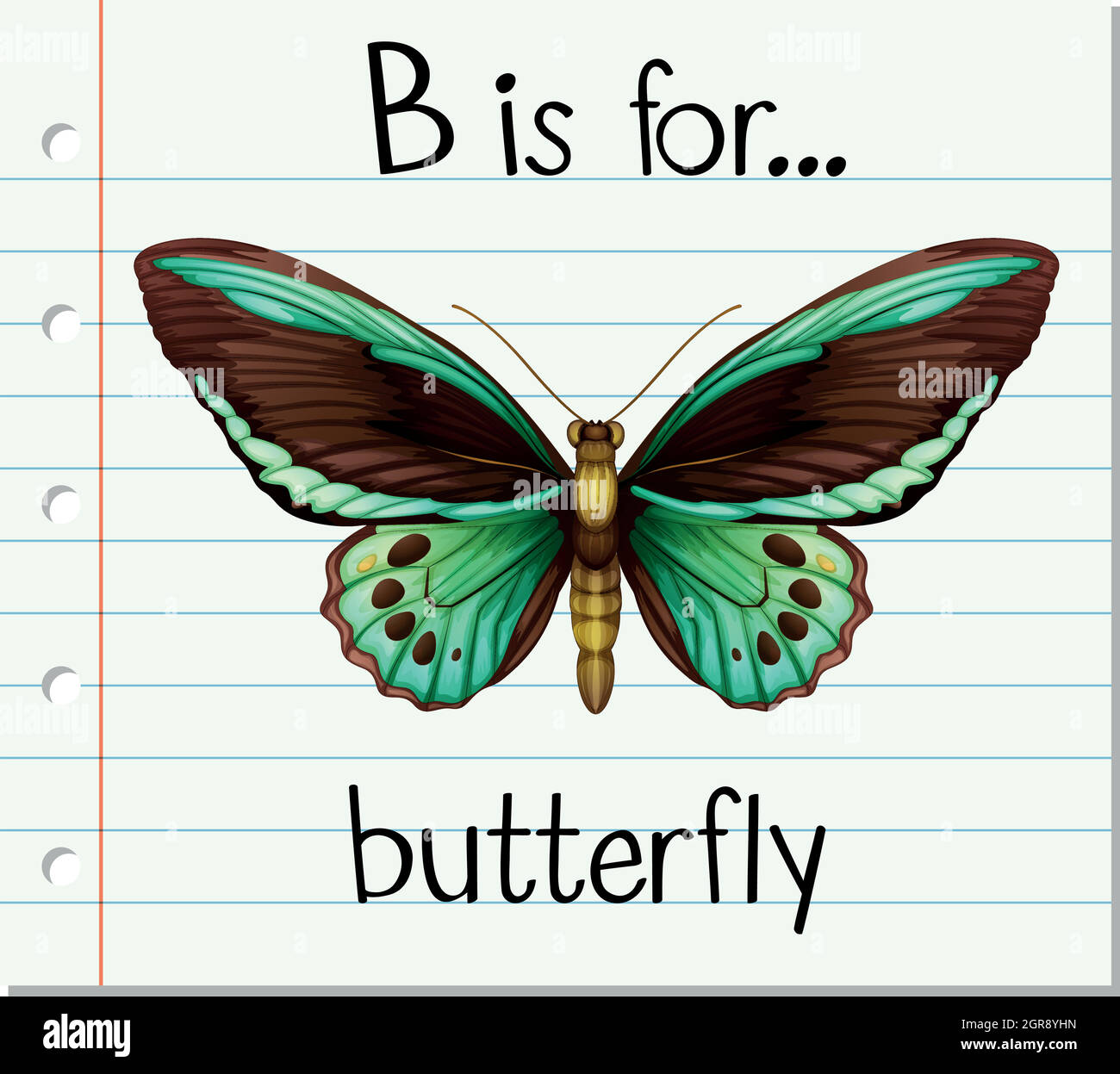 Cardboard butterfly hi-res stock photography and images - Alamy