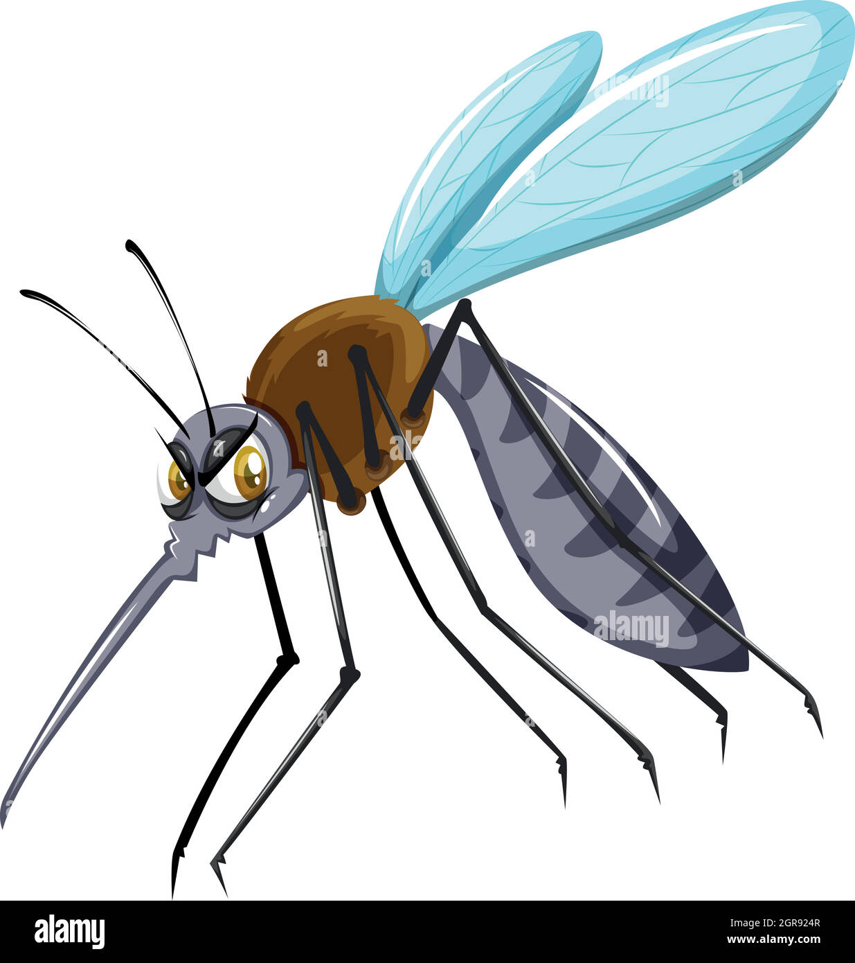 Wild mosquito on white background Stock Vector Image & Art - Alamy