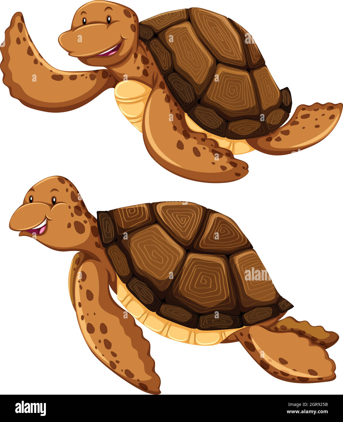 Land turtles hi-res stock photography and images - Alamy