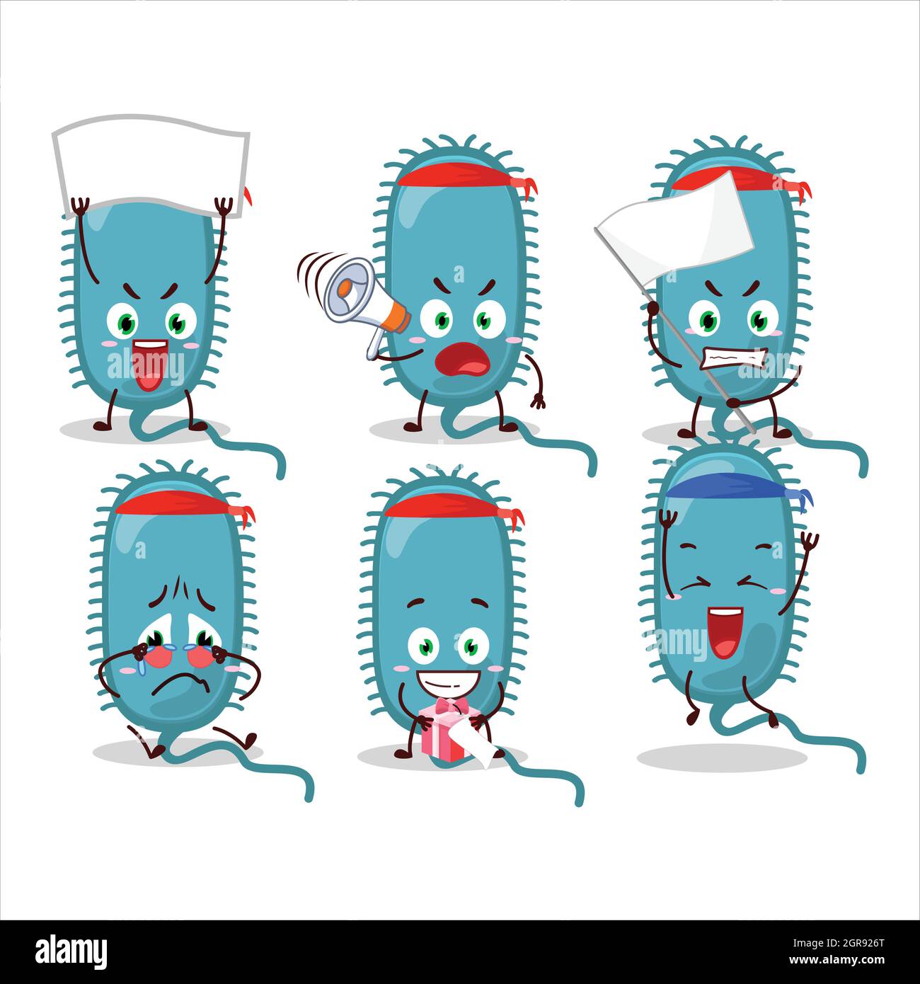 Microbiology shigella agar hi-res stock photography and images - Alamy