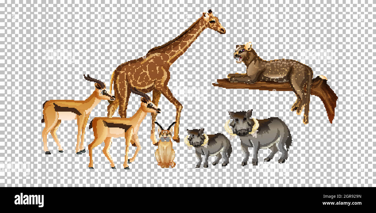 Group of wild african animal on transparent background Stock Vector ...